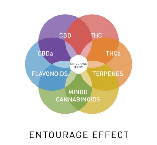 The Entourage Effect & Your Cannabis Experience